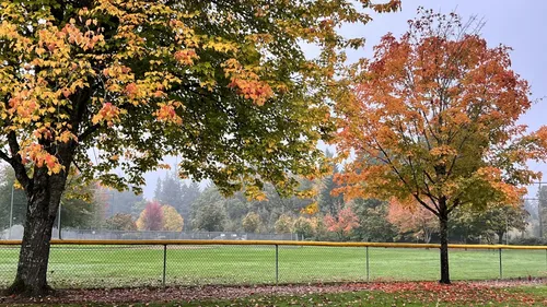 Best Hikes and Trails in Joe Dancer Park | AllTrails