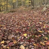 Ramapo Reservation Loop Trail, New Jersey - 1,642 Reviews, Map | AllTrails