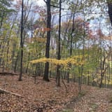 Ramapo Reservation Loop Trail, New Jersey - 1,642 Reviews, Map | AllTrails