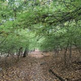 Ramapo Reservation Loop Trail, New Jersey - 1,642 Reviews, Map | AllTrails