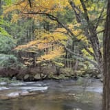 Old Mill Trail, Massachusetts - 314 Reviews, Map | AllTrails