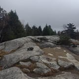 Buck Mountain Trail, New York - 3,067 Reviews, Map | AllTrails