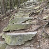 Thousand Steps, Pennsylvania - 1,202 Reviews, Map | AllTrails