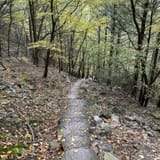 Thousand Steps, Pennsylvania - 1,202 Reviews, Map | AllTrails