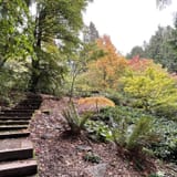 The Washington Park Arboretum, Washington - 1,661 Reviews, Map | AllTrails