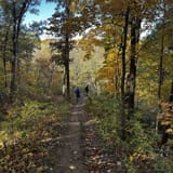 Martell Forest Loop, Indiana - 458 Reviews, Map | AllTrails