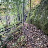 Zaleski South Loop Trail, Ohio - 938 Reviews, Map | AllTrails