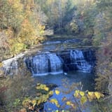 River Trail to Ridgetop Trail, Tennessee - 682 Reviews, Map | AllTrails