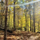 Lake Thom-a-Lex Nature Trail, North Carolina - 264 Reviews, Map | AllTrails
