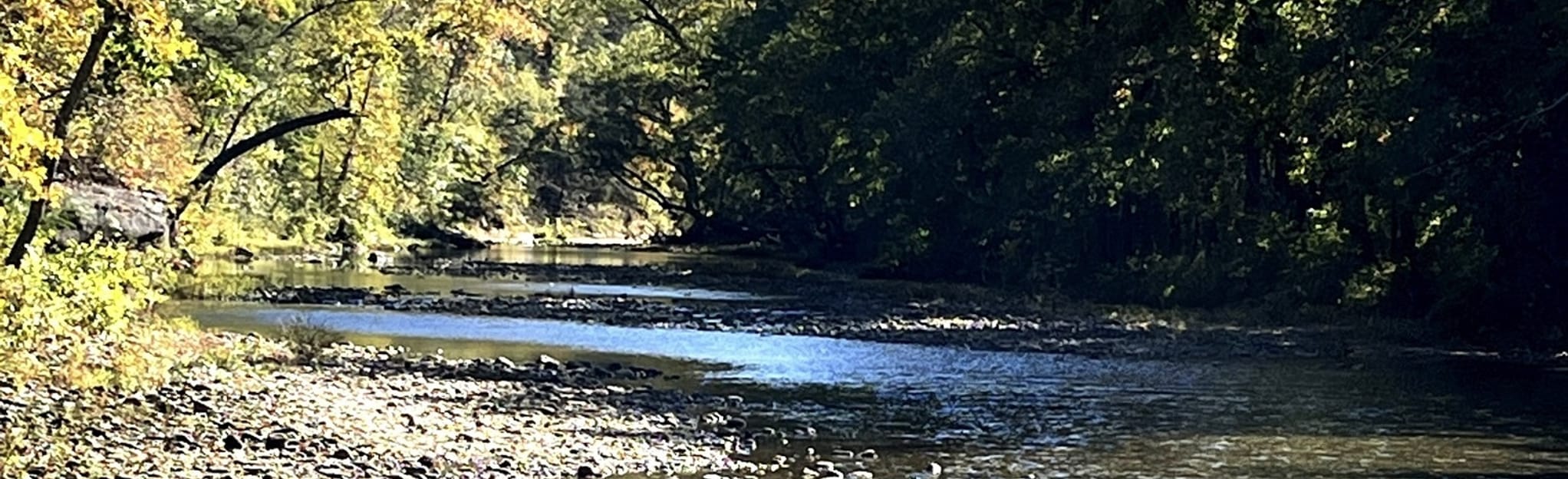 Buffalo River Trail from Kyles Landing Campground: 793 foto's ...