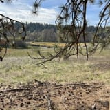 Painted Rocks Nature Trail, Washington - 759 Reviews, Map | AllTrails