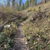 Painted Rocks Nature Trail, Washington - 759 Reviews, Map | AllTrails