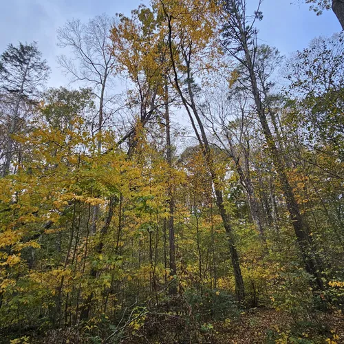 Best Hikes and Trails in North Farms Park | AllTrails