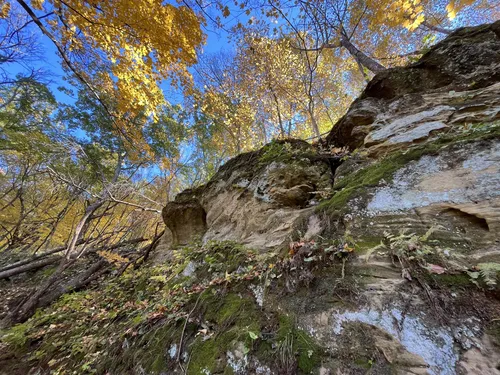 Best Hikes and Trails in Wildcat Mountain State Park | AllTrails