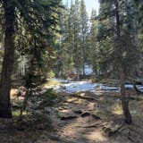 Diamond Lake Trail, Colorado - 2,602 Reviews, Map | AllTrails