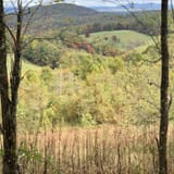 Black Ridge Trail, Virginia - 591 Reviews, Map | AllTrails