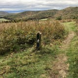 Black Ridge Trail, Virginia - 591 Reviews, Map | AllTrails