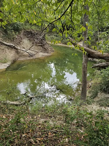 Best Hikes and Trails in Beaver Run Park | AllTrails