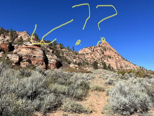 Best Hikes and Trails in Red Butte Wilderness | AllTrails