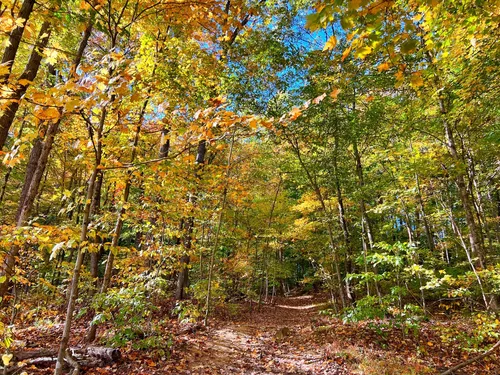 2023 Best Kid Friendly Trails in Floyds Knobs | AllTrails