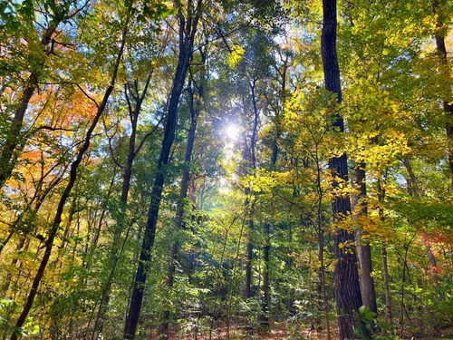 2023 Best Kid Friendly Trails in Floyds Knobs | AllTrails