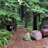 Cheatham Grove Trail, California - 124 Reviews, Map | AllTrails
