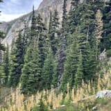 Blue Lake Trail, Washington - 3,520 Reviews, Map | AllTrails
