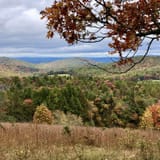 Black Ridge Trail, Virginia - 591 Reviews, Map | AllTrails