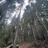 Blue Lake Trail, Washington - 3,520 Reviews, Map | AllTrails