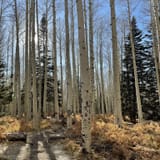 Aspen Nature Loop, Arizona - 2,026 Reviews, Map | AllTrails