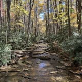 Three Forks and Springer Mountain via Appalachian Trail, Georgia - 743 ...