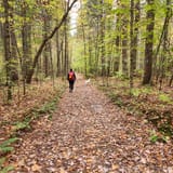 Killington Peak via Bucklin Trail, Vermont - 1,779 Reviews, Map | AllTrails