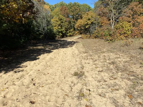 Best Hikes and Trails in Sand Ridge State Forest | AllTrails