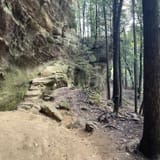 Whispering Cave - Cedar Falls Loop, Ohio - 586 Reviews, Map | AllTrails