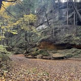 Whispering Cave - Cedar Falls Loop, Ohio - 633 Reviews, Map | AllTrails