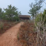 Lost Pines Trail, Texas - 651 Reviews, Map | AllTrails