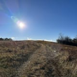 Whigg Meadow via Mud Gap Trail, North Carolina - 125 Reviews, Map ...