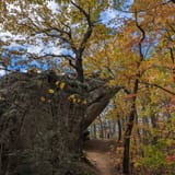 Carvin's Cove Hay Rock via Appalachian Trail, Virginia - 932 Reviews ...