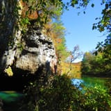 Cave Spring Loop Trail, Missouri - 369 Reviews, Map | AllTrails