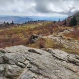 Wilburn Ridge via Appalachian Trail, Virginia - 1,766 Reviews, Map ...