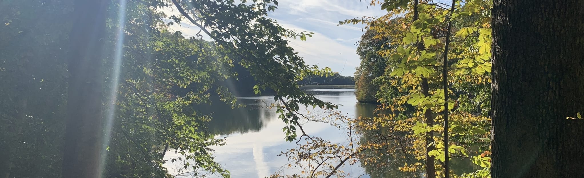 Horse Trail to Poplar Tree Lake Loop, Tennessee - 85 Reviews, Map ...