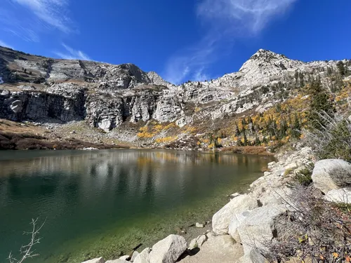 10 Best Trails and Hikes in Alpine | AllTrails