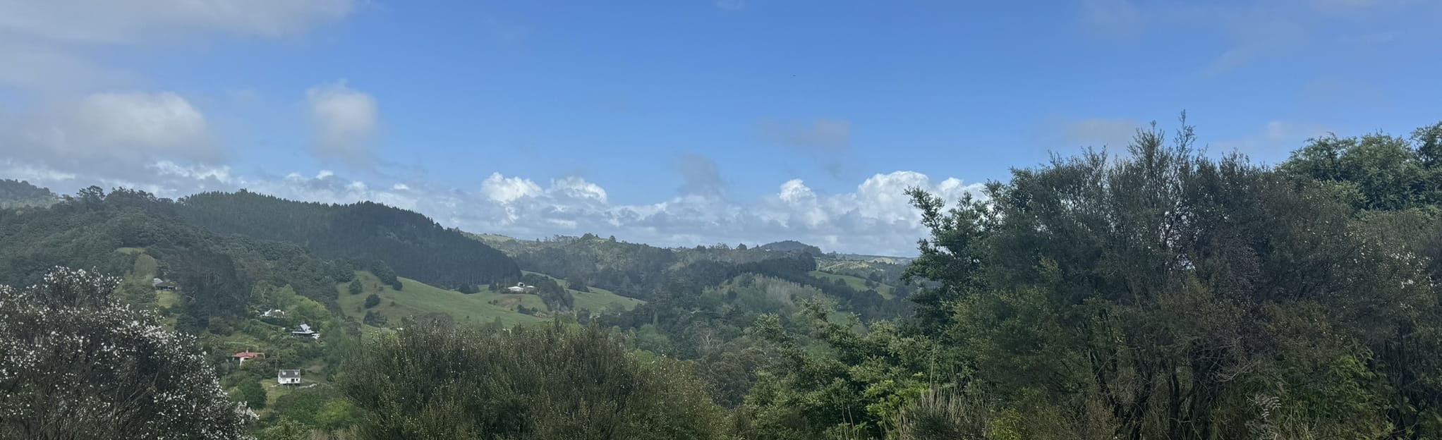 Puhoi Lookout Track, Auckland, New Zealand - 62 Reviews, Map | AllTrails