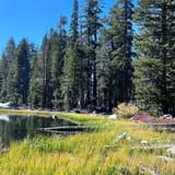 Weaver Lake Trail, California - 914 Reviews, Map | AllTrails