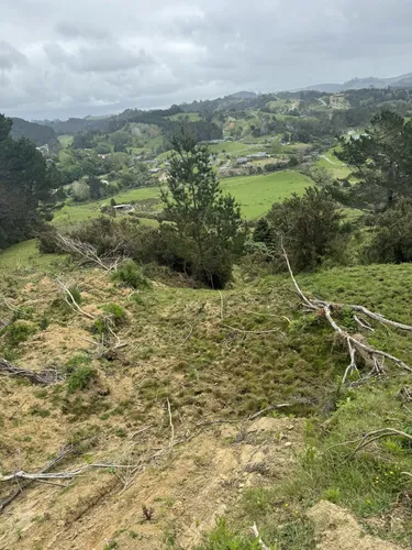 Best Hikes and Trails in Puhoi Pioneers Memorial Park | AllTrails