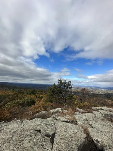 10 Best Hikes and Trails in Black Rock Forest | AllTrails