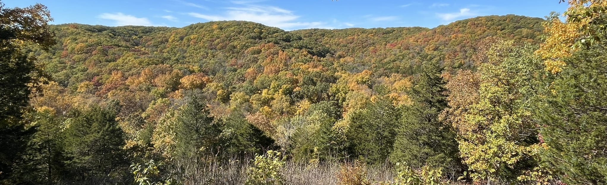 Beulah Trail, Missouri - 1,442 Reviews, Map | AllTrails