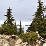 Mount Catherine (#1348), Washington - 771 Reviews, Map | AllTrails