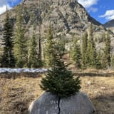 Gilpin Lake Trail, Colorado - 566 Reviews, Map | AllTrails