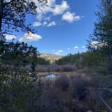 Turtle Rock Loop Trail, Wyoming - 1,097 Reviews, Map | AllTrails